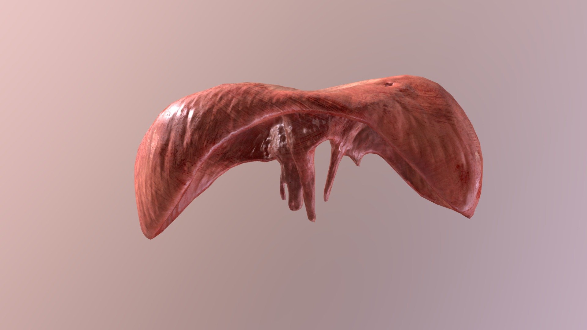 Diaphragm - Buy Royalty Free 3D model by AVRcontent [de80a71 ...