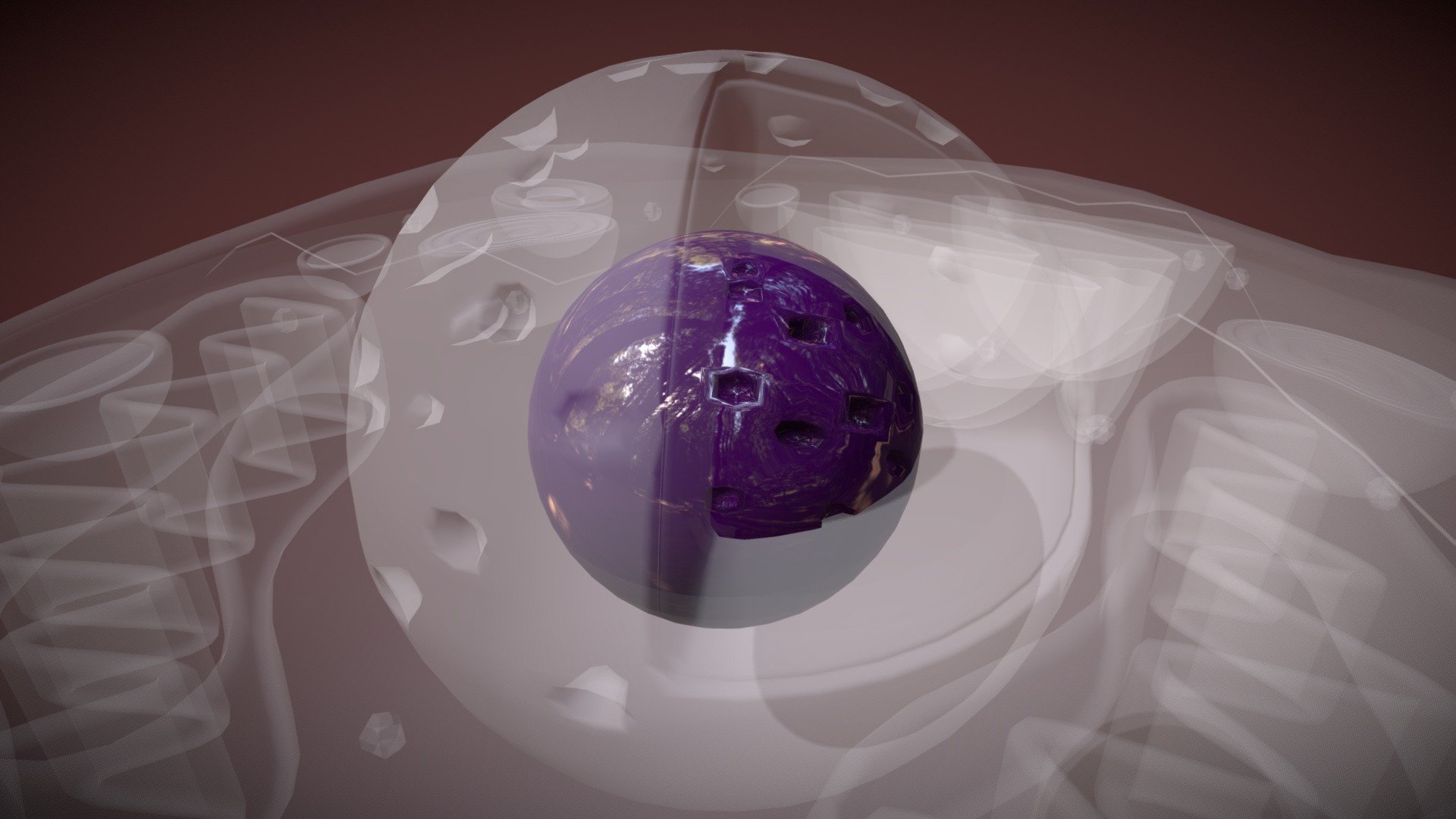 Nucleolo - 3D model by Laboratorio Virtual (@laboratoriovirtual ...