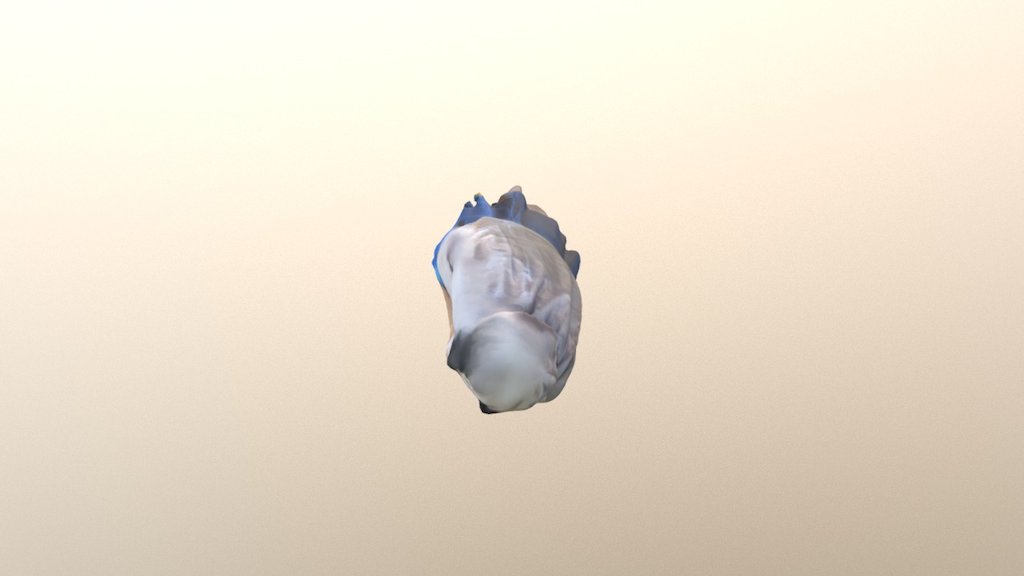 Griselda Virgin - 3D model by 9riselda [de8e7f1] - Sketchfab