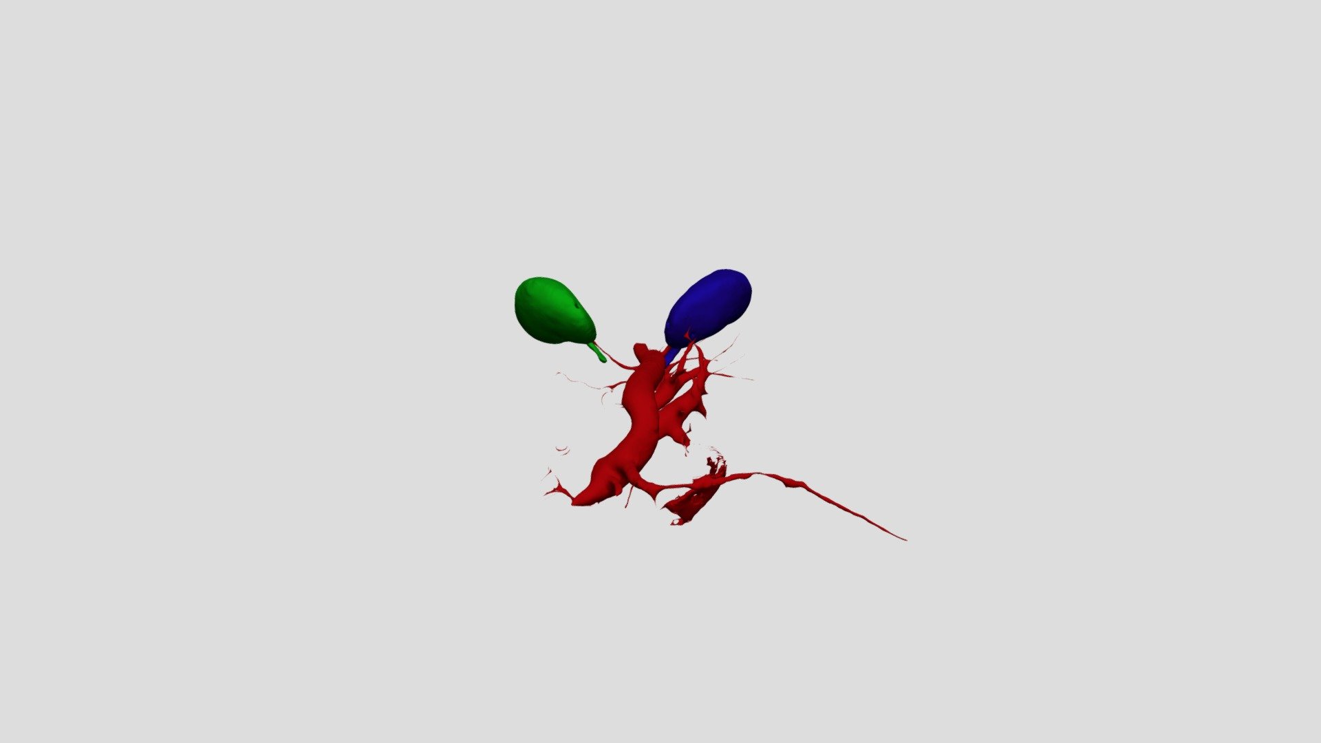 Segmentation - Download Free 3D model by LindaNeely [de97634] - Sketchfab