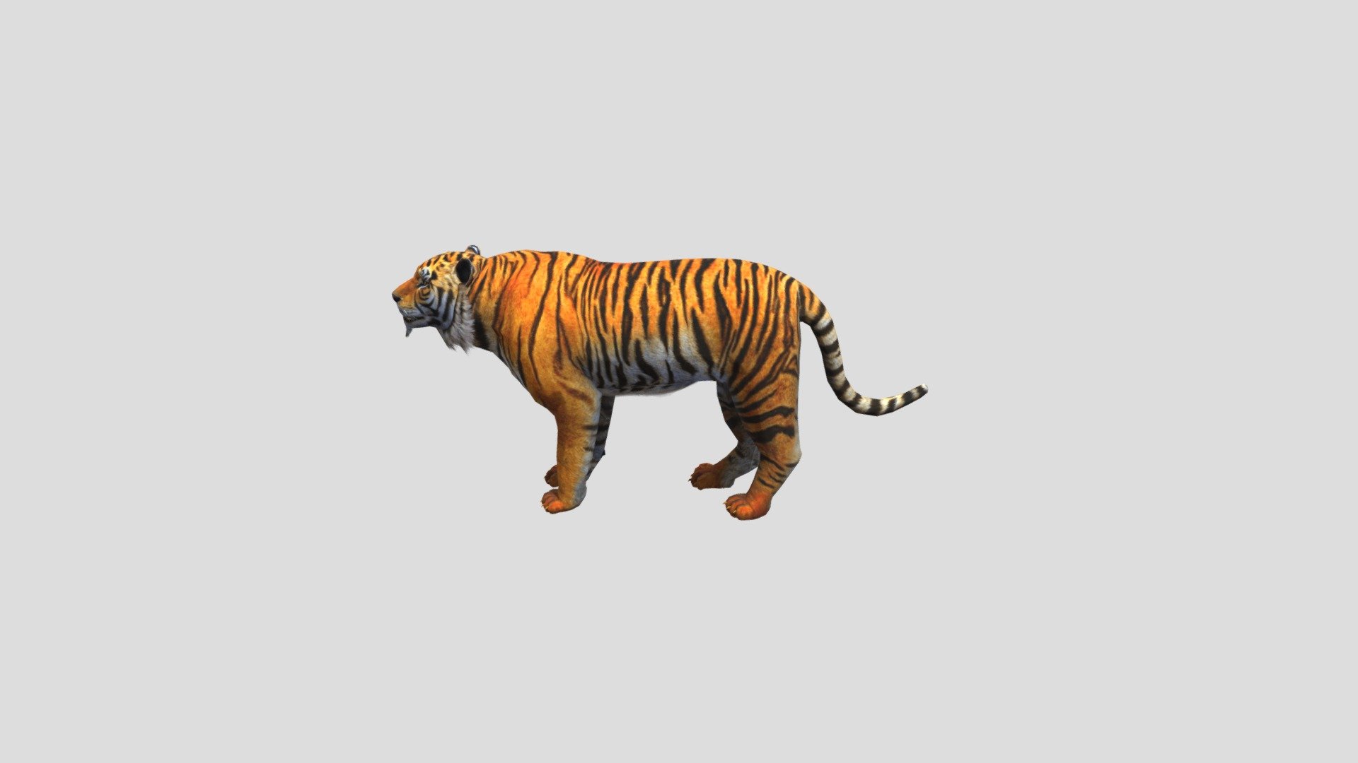 Tiger_v4_logo_240FPS_077 - Download Free 3D model by leonardgraylar ...