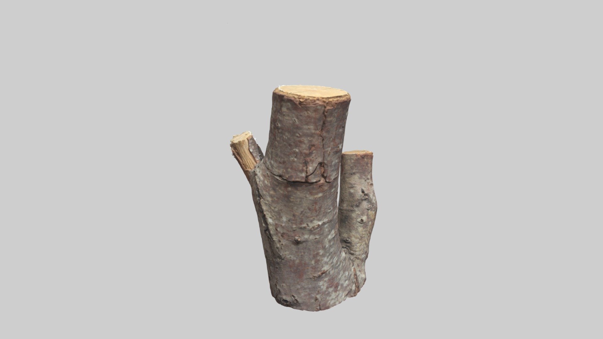 Wood - Download Free 3D model by sh7rk [de9b21c] - Sketchfab
