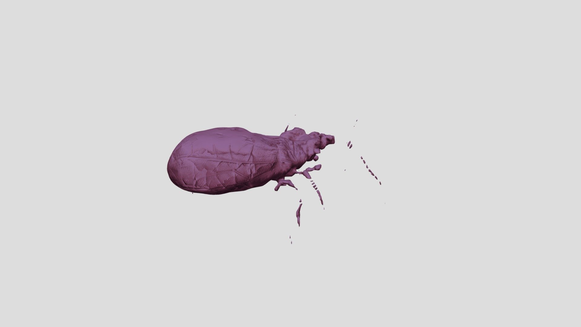 an_alien_insect_11081435_fbx - 3D model by DexterMurphy [dea098d ...