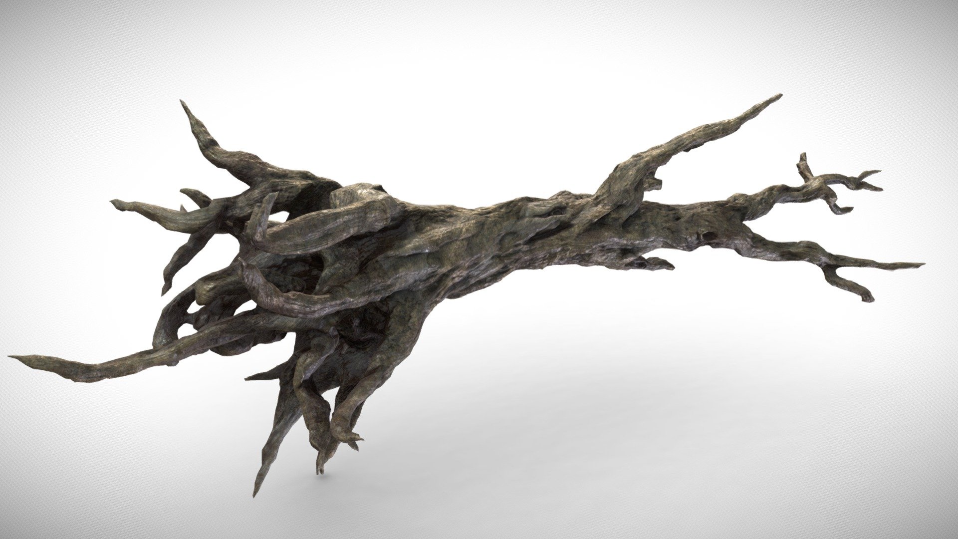 Fantasy Forest Tree - Fallen Dead Roots A - 4k - Buy Royalty Free 3D ...