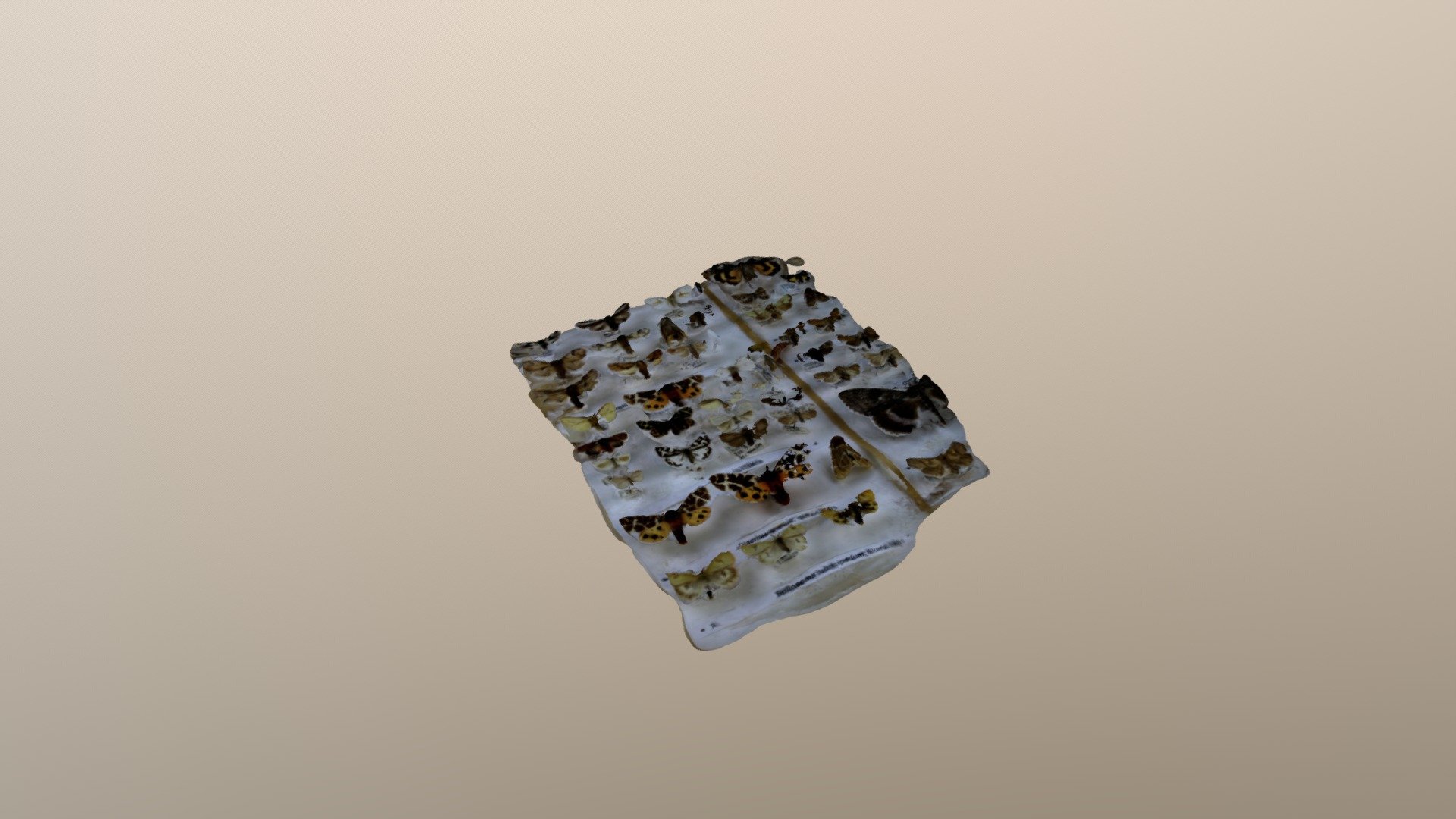 Insect Collection Scanner Test - 3D model by NampaWorks [deb5e8a ...