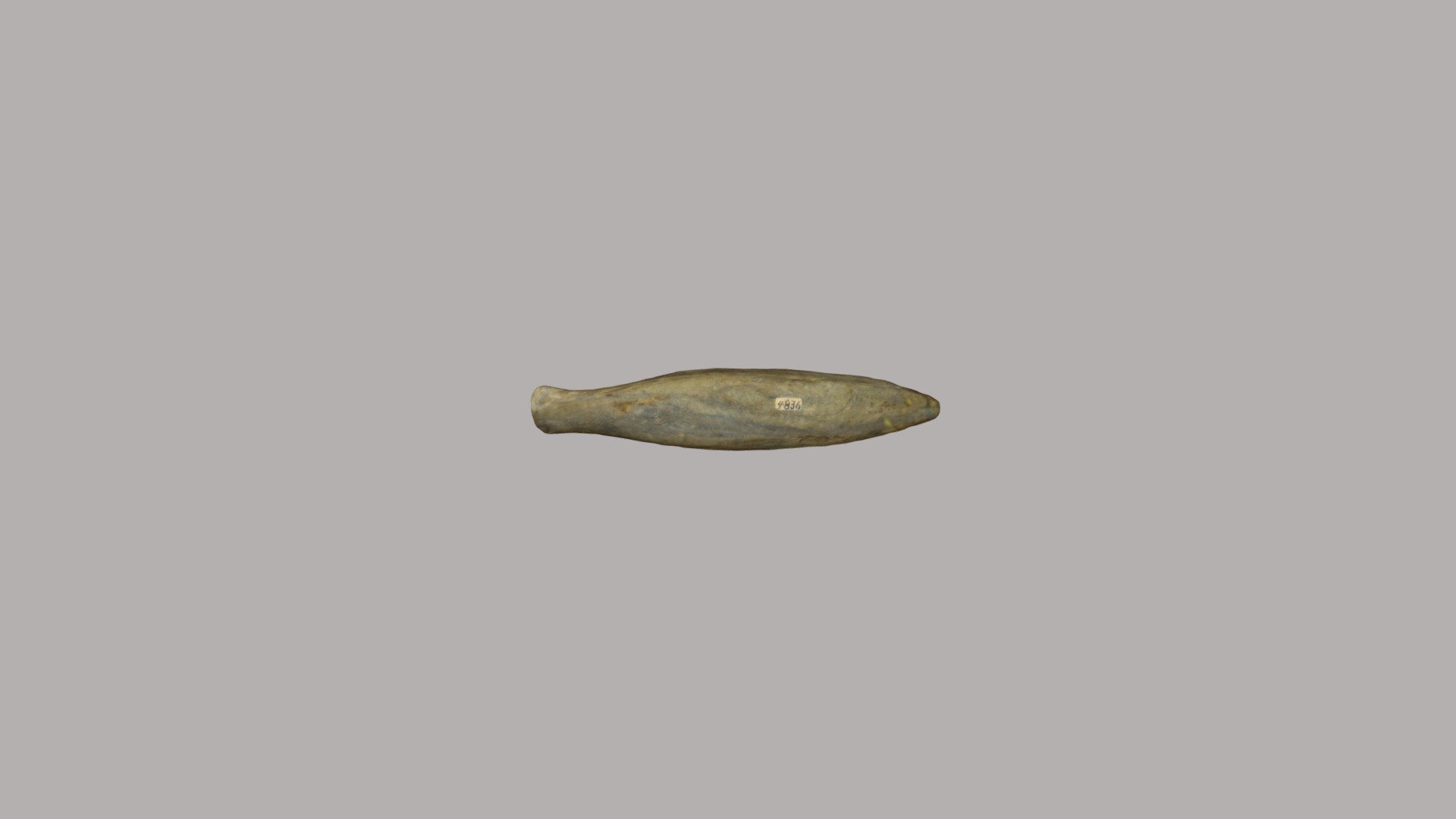 Zoólito 4836 - 3D model by Museu Arqueológico de Sambaqui de Joinville ...