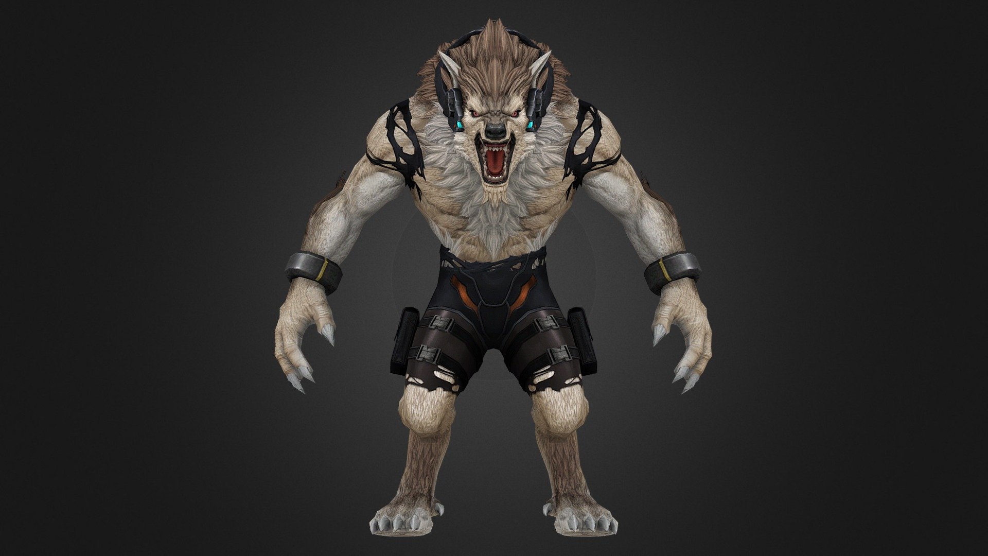 Marien Re Wolf - 3D model by Dimac [deb81b5] - Sketchfab