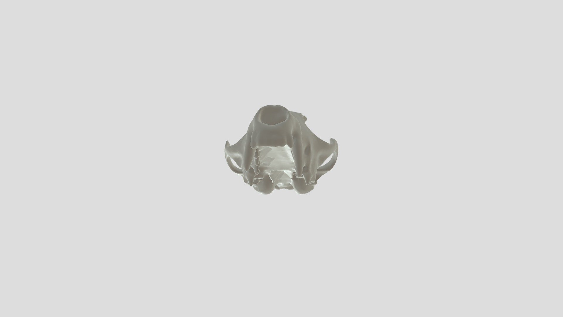 Fox Skull simplified - Download Free 3D model by Levimoore [deb8818 ...