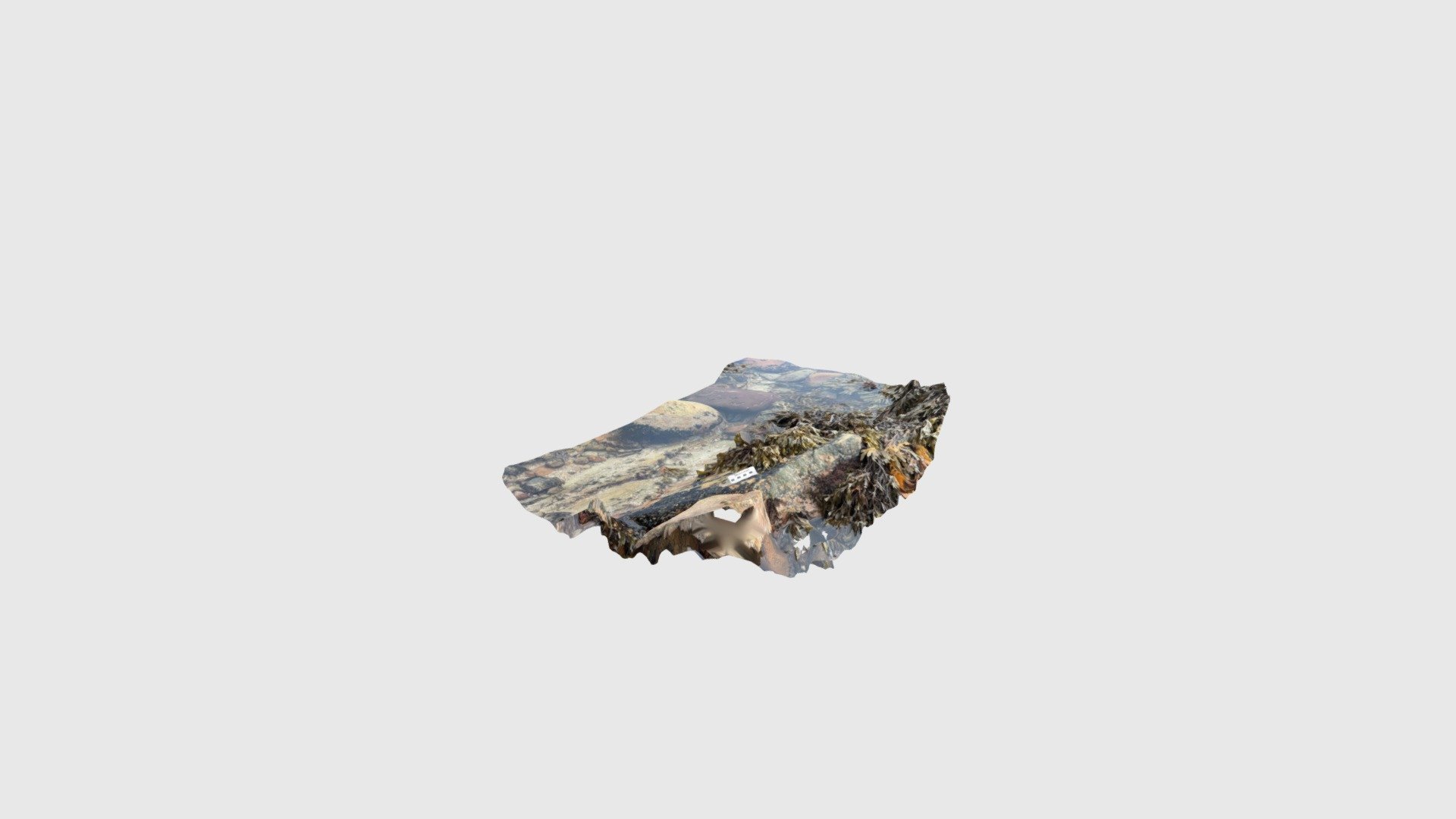 Helmsdale 9 (boulder bed clast) - Download Free 3D model by Safaridb ...