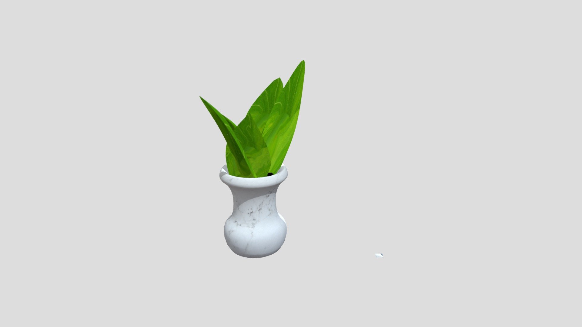 plant project - 3D model by erikakimani [decab4b] - Sketchfab