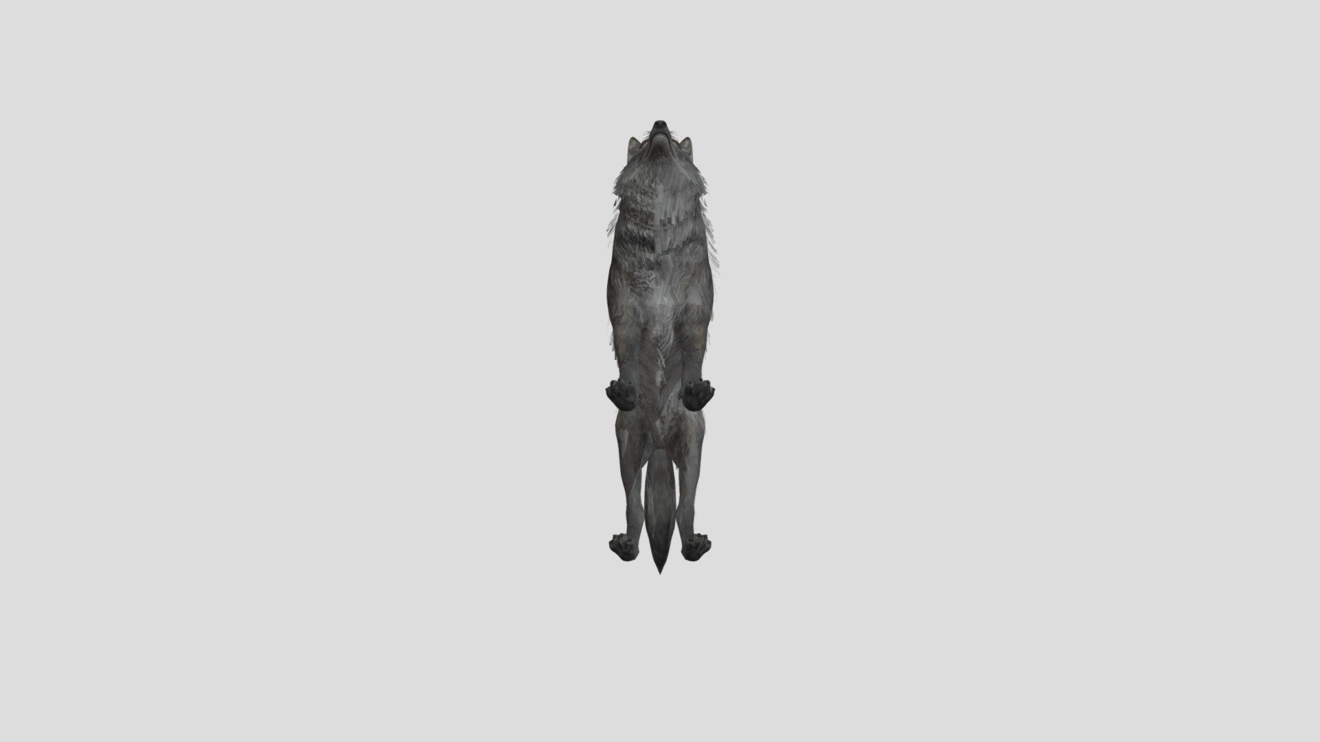 wolf - 3D model by 17414 [ded85aa] - Sketchfab