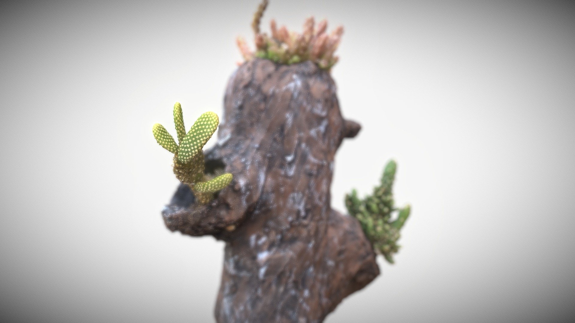Handmade Cactus Vase - Buy Royalty Free 3D model by Anderson Rohr ...