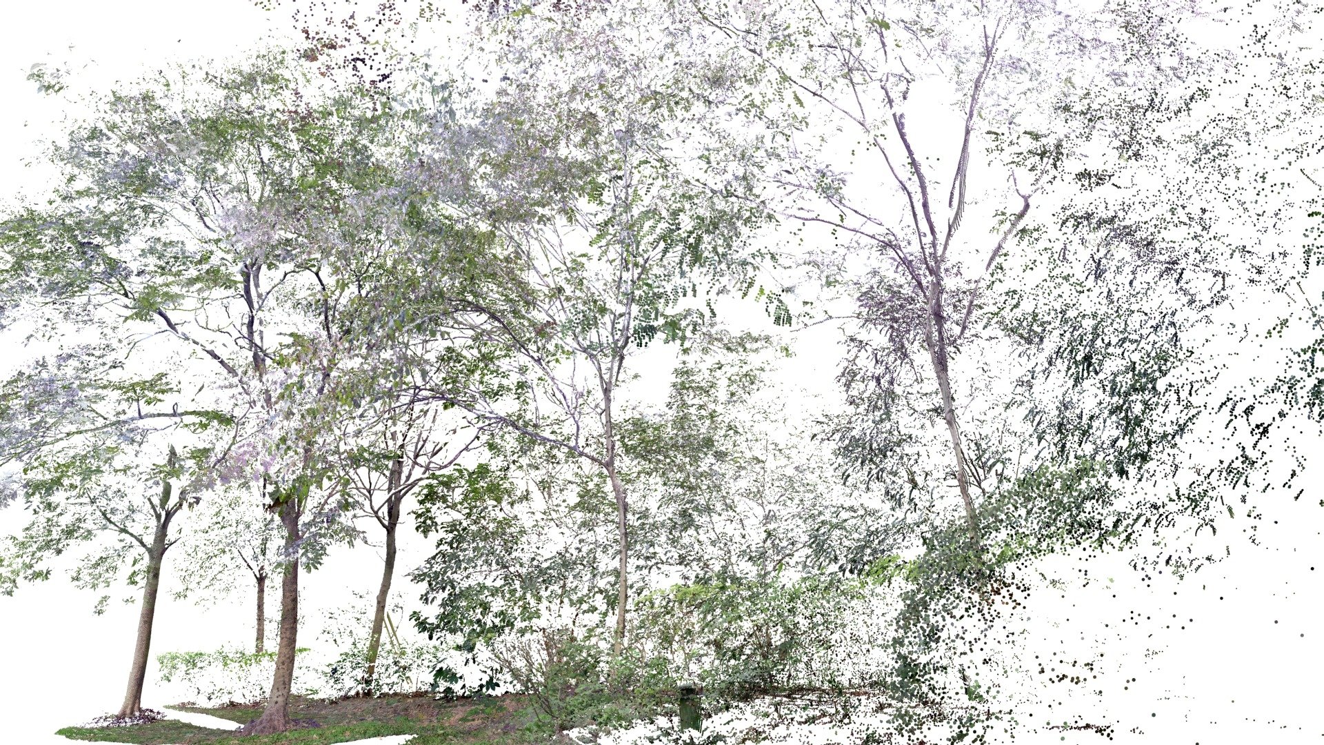 tree point cloud scan1 - Buy Royalty Free 3D model by Deeper ...