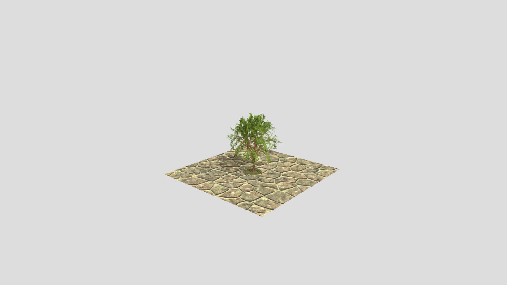 Tree - Download Free 3D model by Mcyborg [defd51b] - Sketchfab