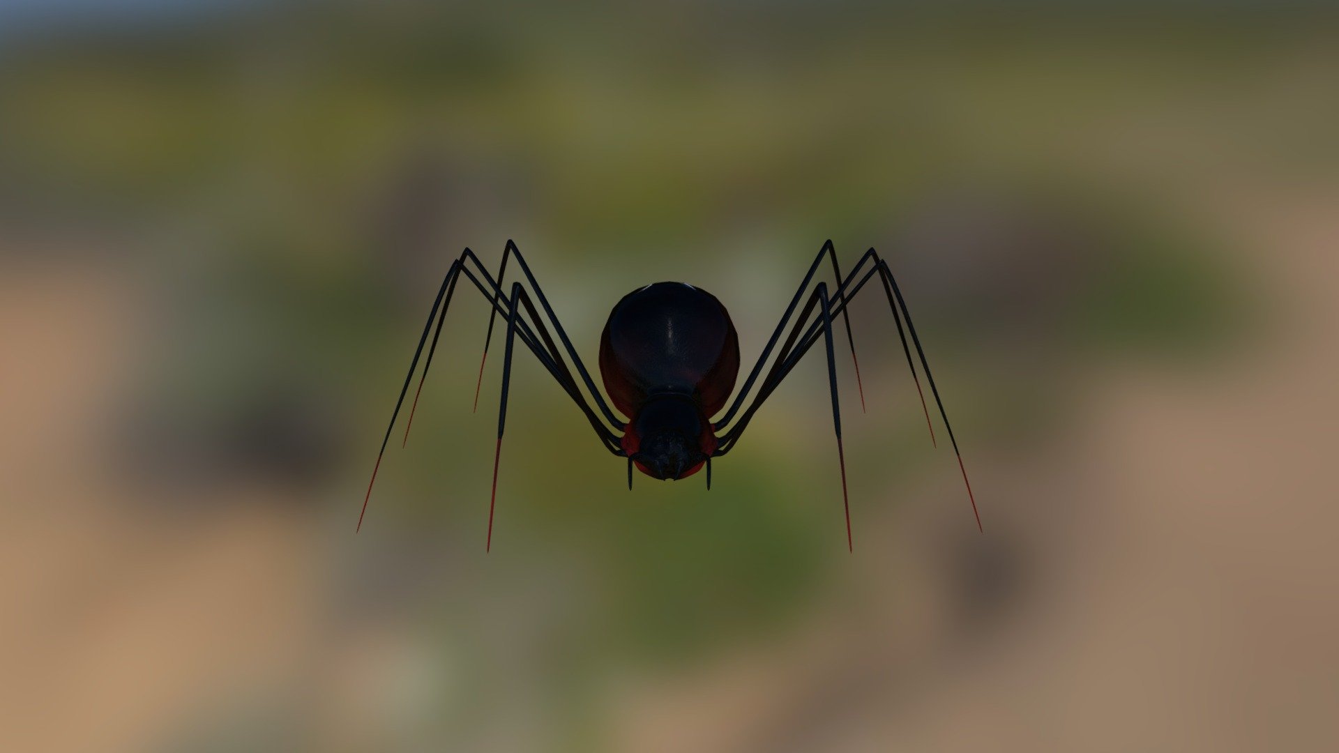 Arachna - 3D model by sv3nn0 [deff4a4] - Sketchfab