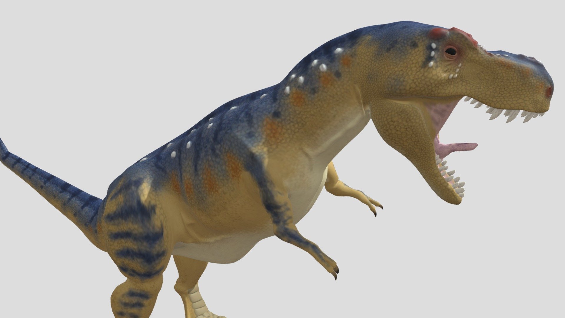 tyrannosaurus rex 2 - Download Free 3D model by seth the yutyrannus ...
