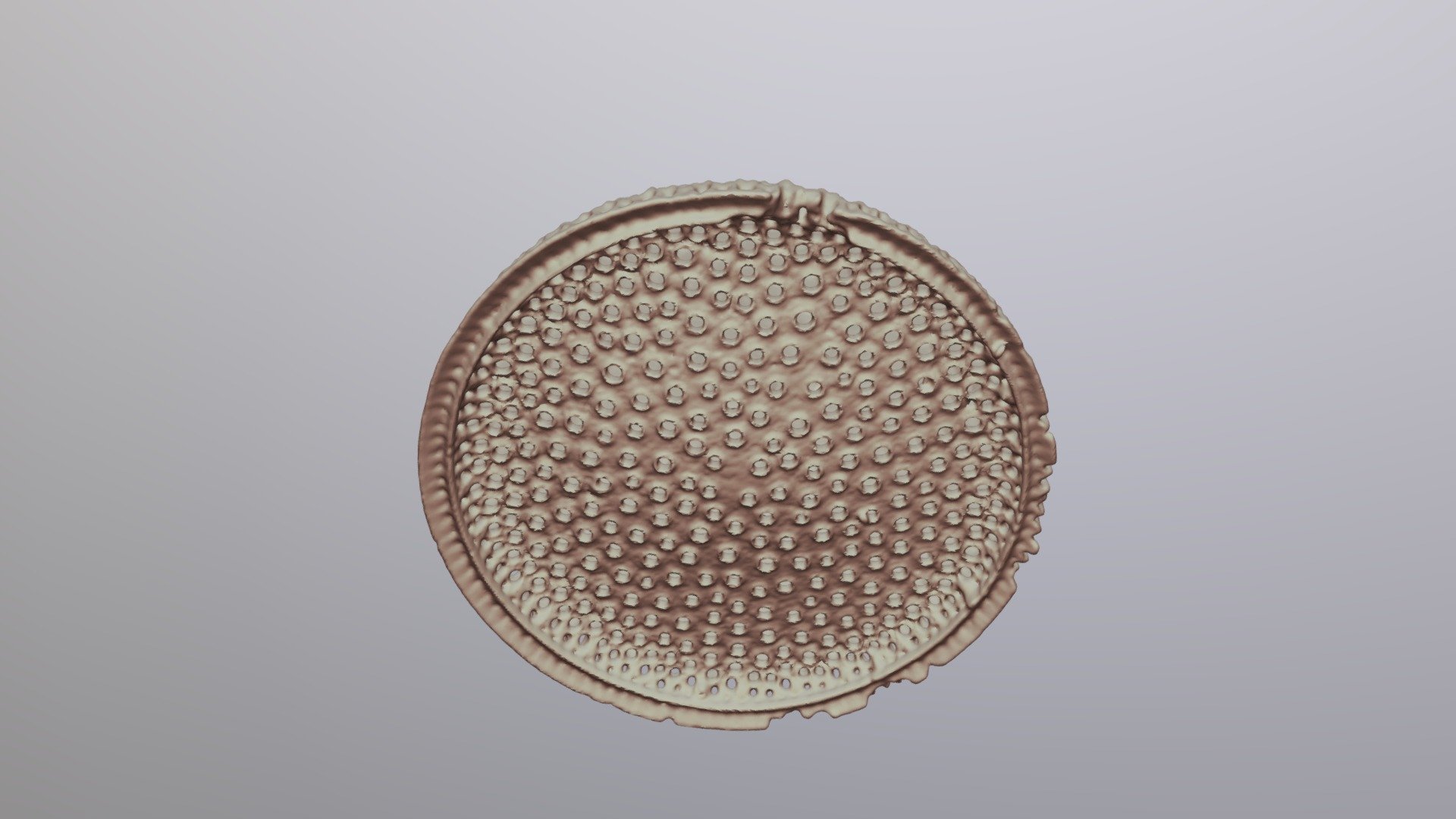Valve of a centric diatom - 3D model by Planktonix [df0dda5] - Sketchfab