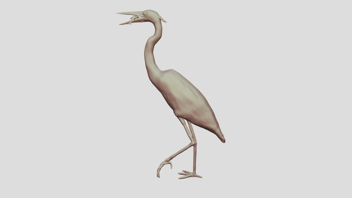 Heron 3D models - Sketchfab