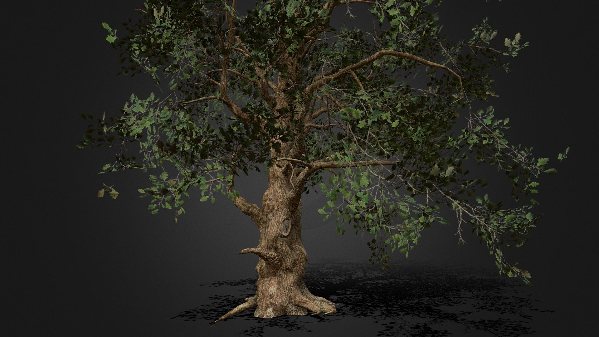 Low Poly Game Ready Fantasy Oak Tree - Buy Royalty Free 3D model by ...