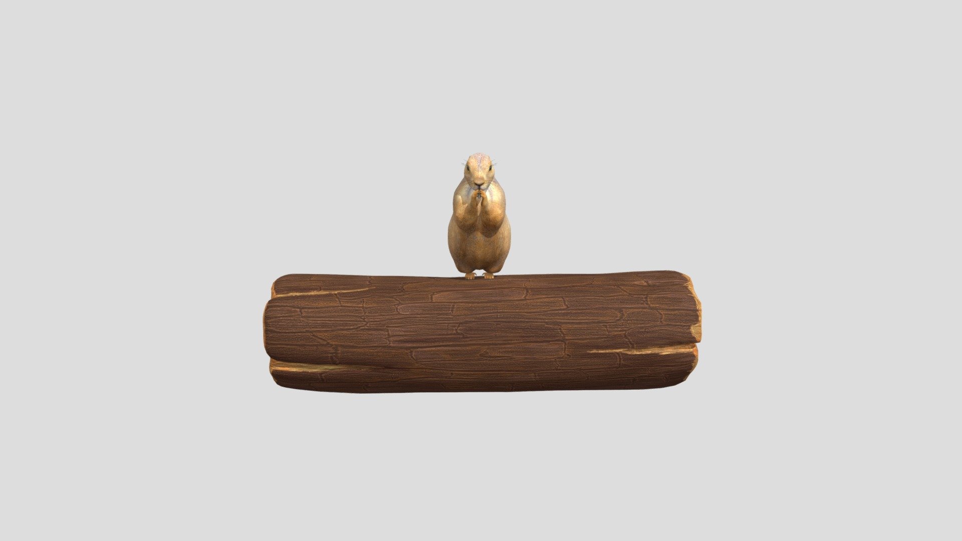 Prairie Dog - Download Free 3D model by Wr_titan (@pitchayut.iq ...