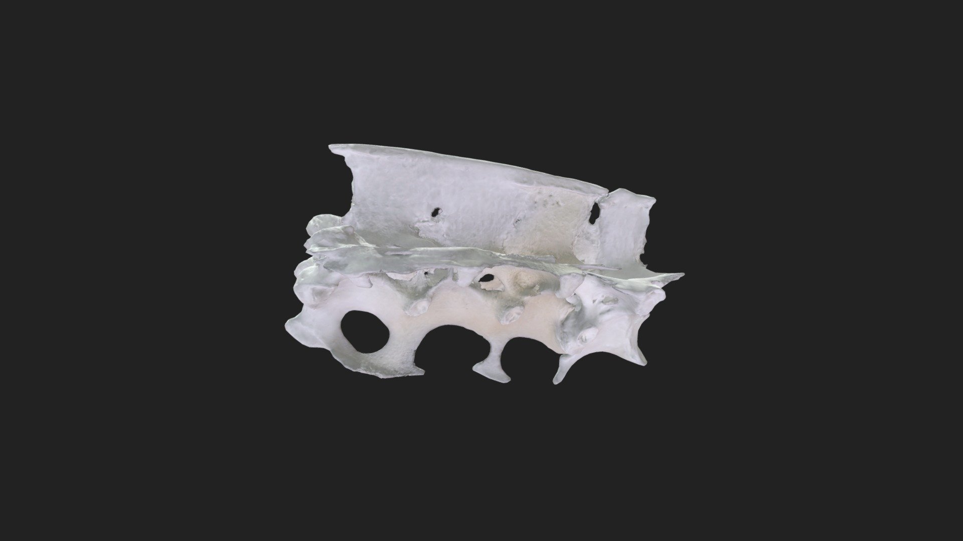 notarium chicken - 3D model by vetanatMunich [df15b32] - Sketchfab