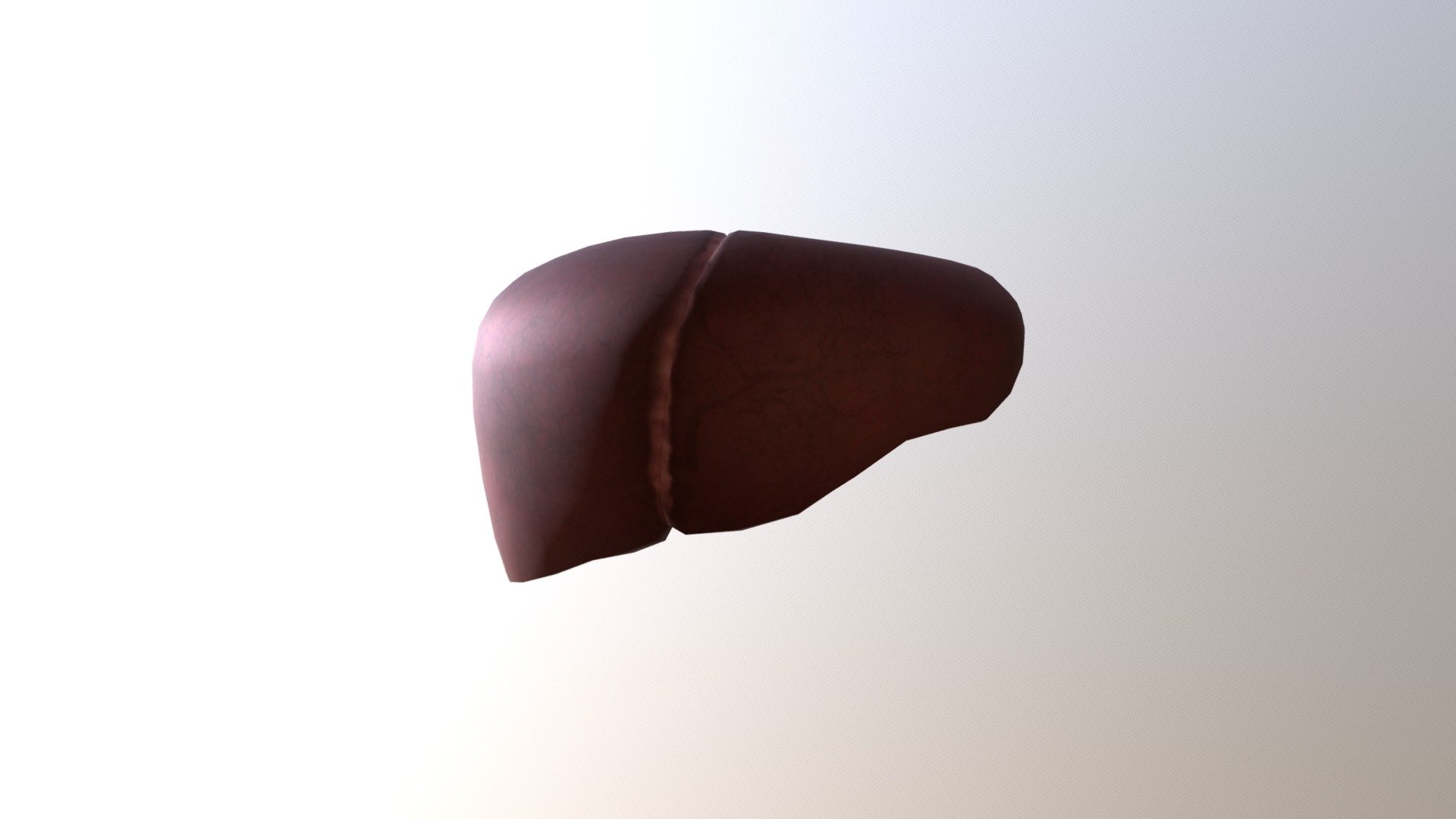Liver - 3D model by Virtual Reality (@simulanis) [df204bc] - Sketchfab