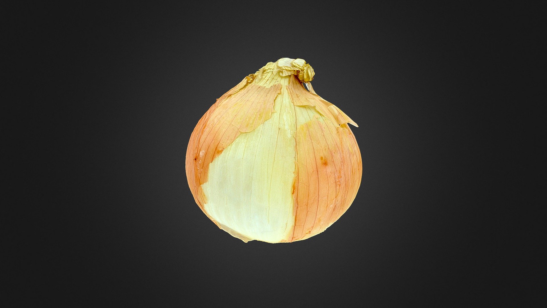 Onion - 3D model by QReal Lifelike 3D (@kabaq) [df24446] - Sketchfab