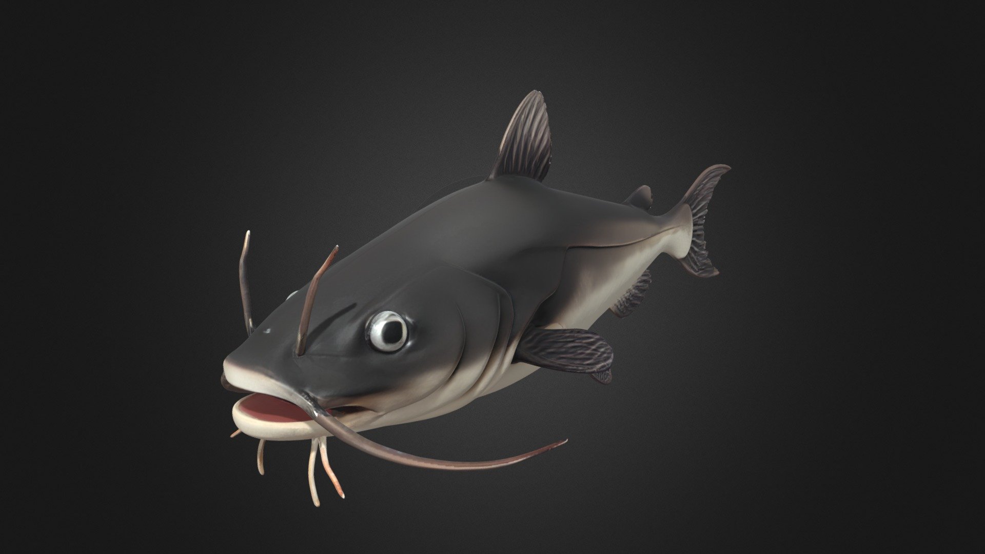 Catfish - 3D model by Korvana Studio (@korvanastudio) [df26855] - Sketchfab
