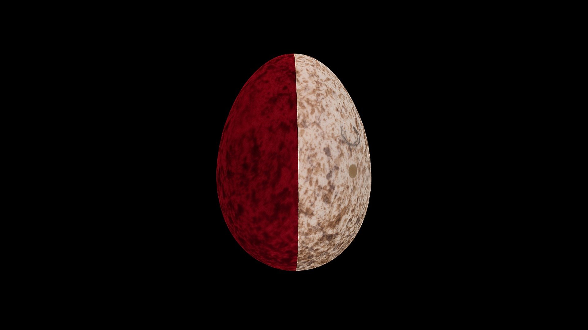 Model 109 - Cowbird egg - UV/Visual spectrum - Download Free 3D model ...