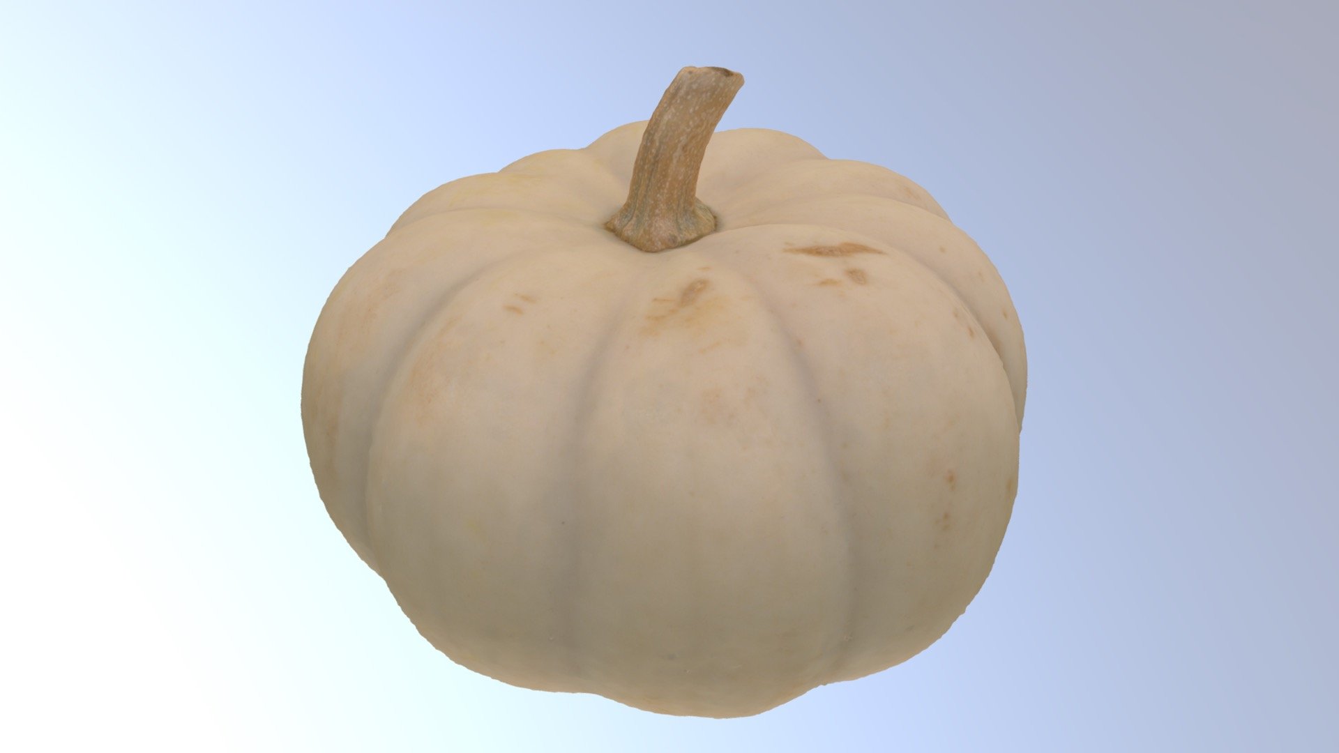 Pumpkin 1 - 3D model by Stance Hurst (@Cacti3D) [df33538] - Sketchfab