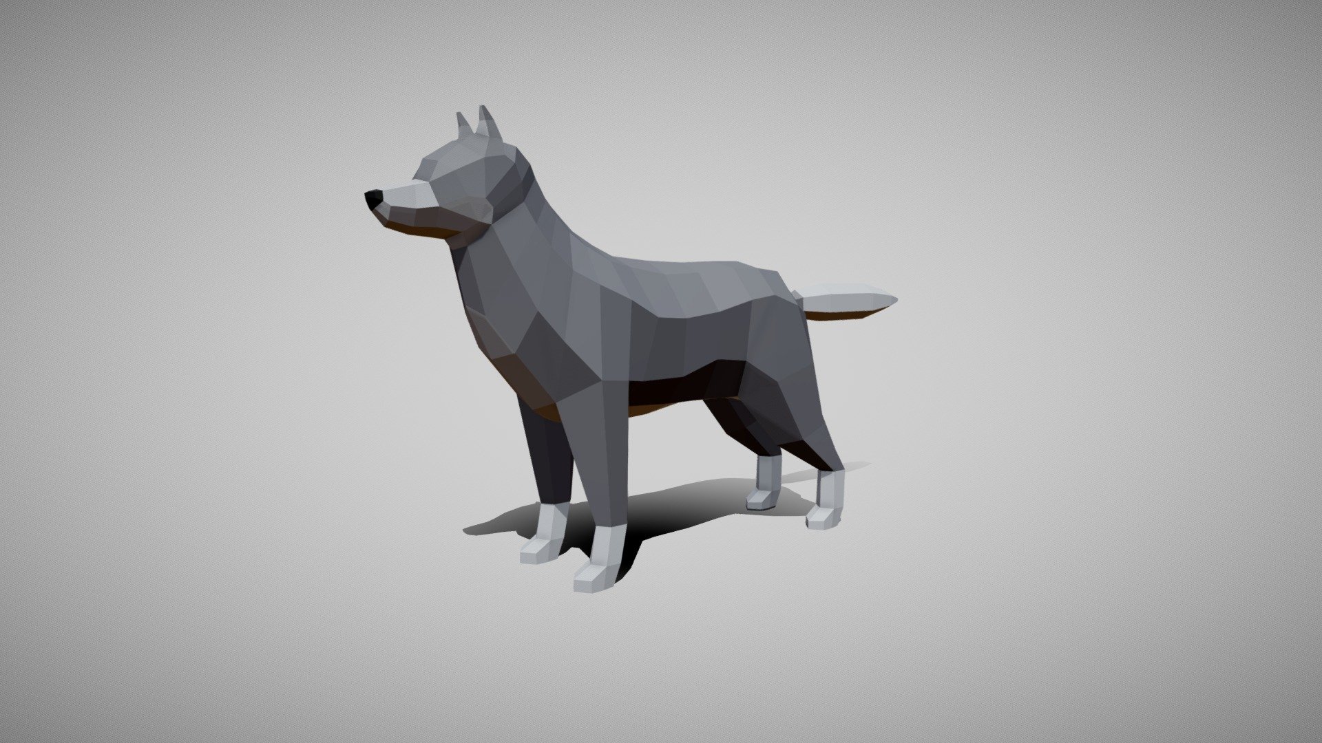 Dog - 3D model by Ekaterina (@kattynote) [df38dd1] - Sketchfab