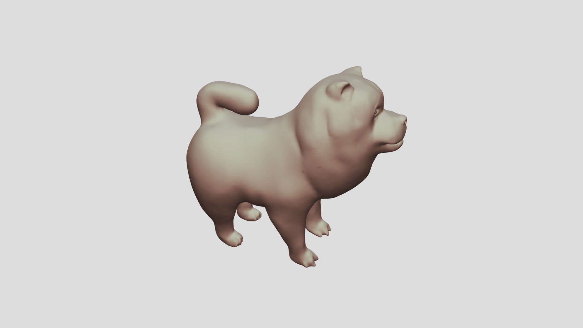 Chow Chow - Download Free 3D model by gikam [df3a382] - Sketchfab
