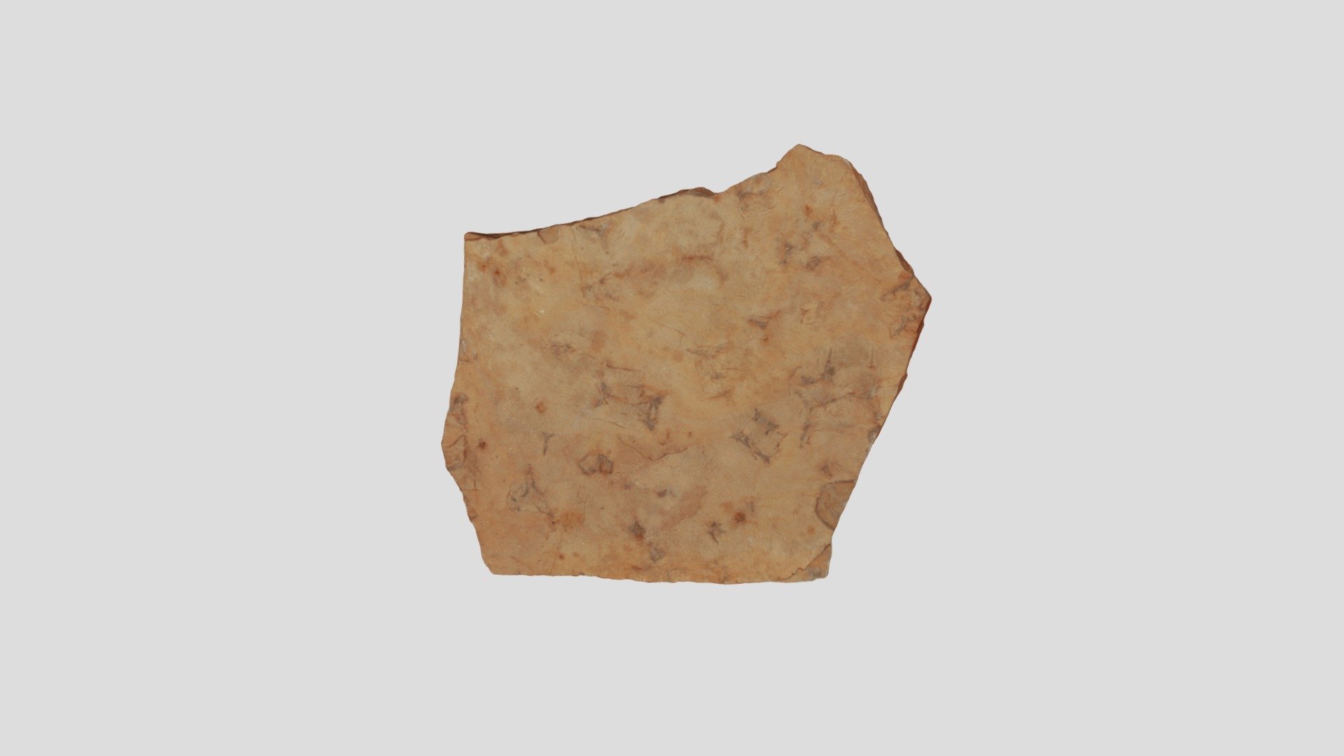 Salt hoppers - Download Free 3D model by John Merck (@jmerck) [df3acd9 ...