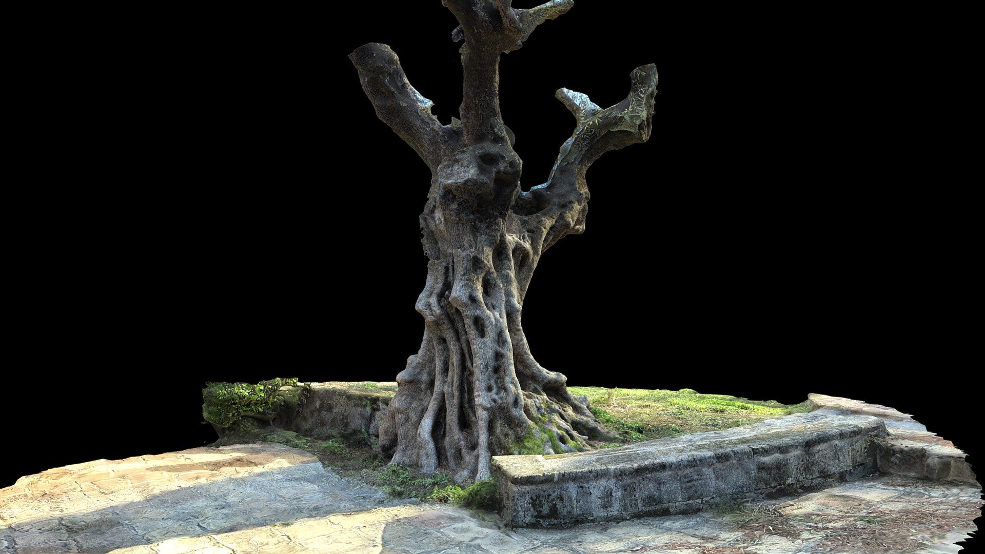 Olive tree - Download Free 3D model by Apostolos Vainopoulos ...