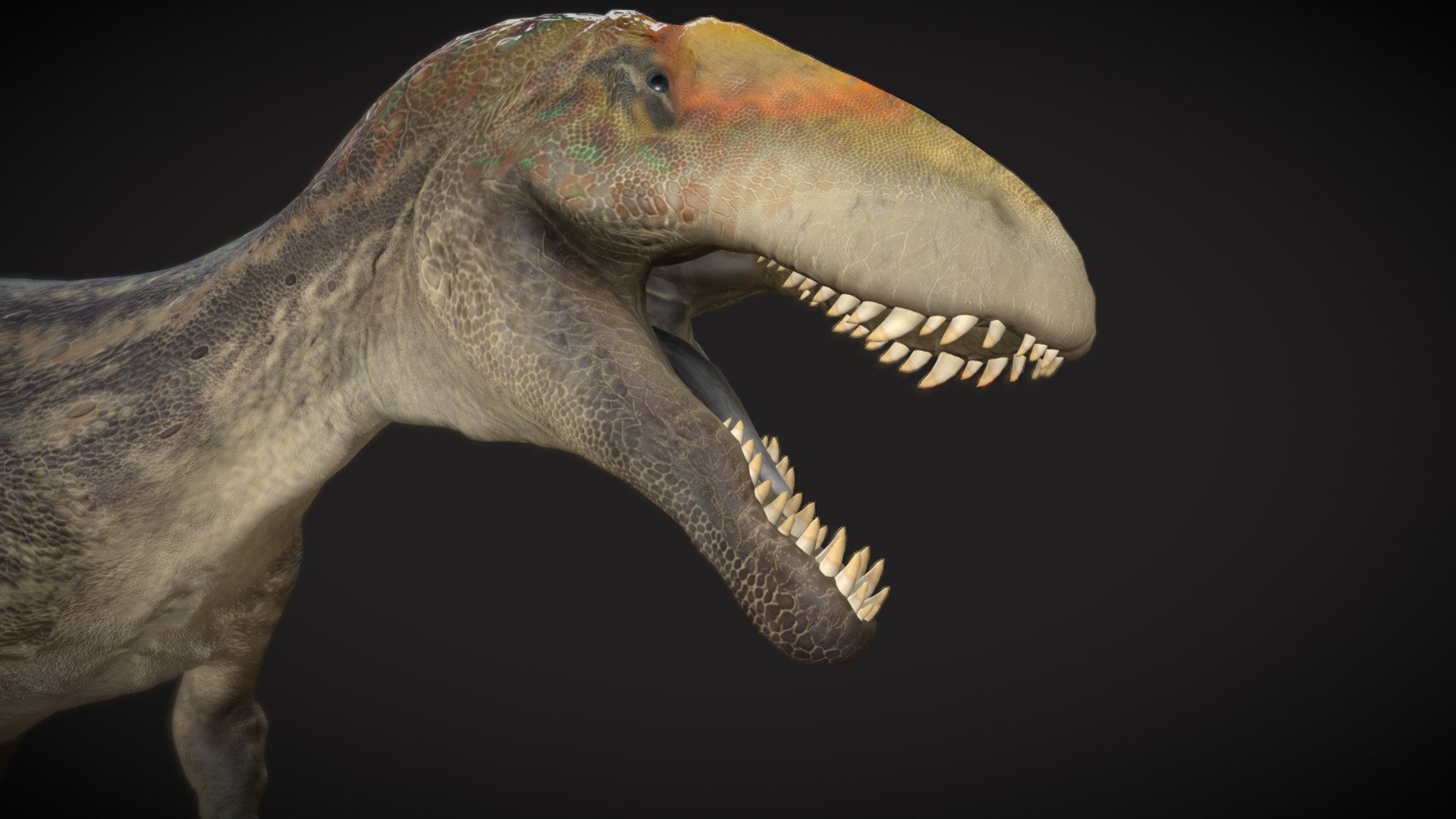 Eustreptospondylus - Buy Royalty Free 3D model by robertfabiani ...