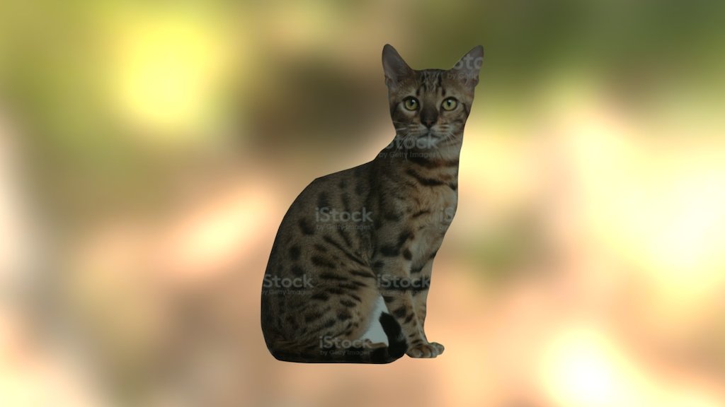 Test chat - 3D model by multisigne [df4d3fb] - Sketchfab