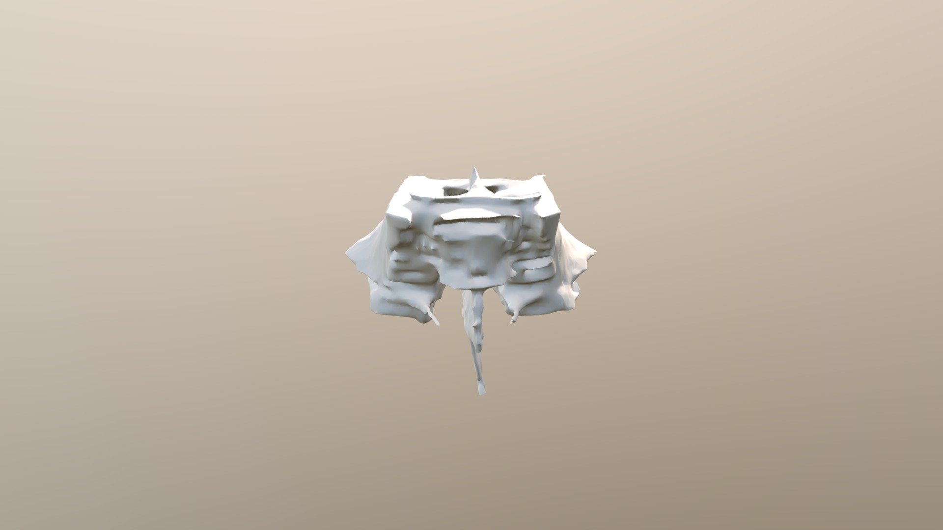 Zygomatic Bone - 3D model by dongguk_anatomy [df4f7cd] - Sketchfab