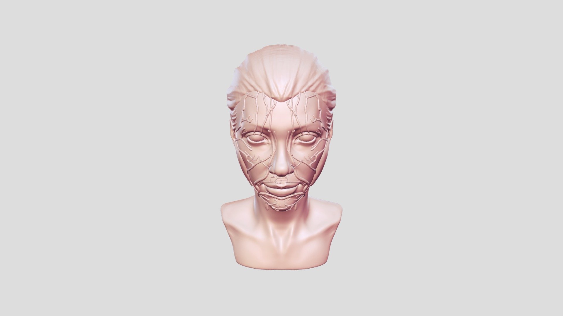 Female WIP - 3D model by jpmayrink [df5a0b7] - Sketchfab