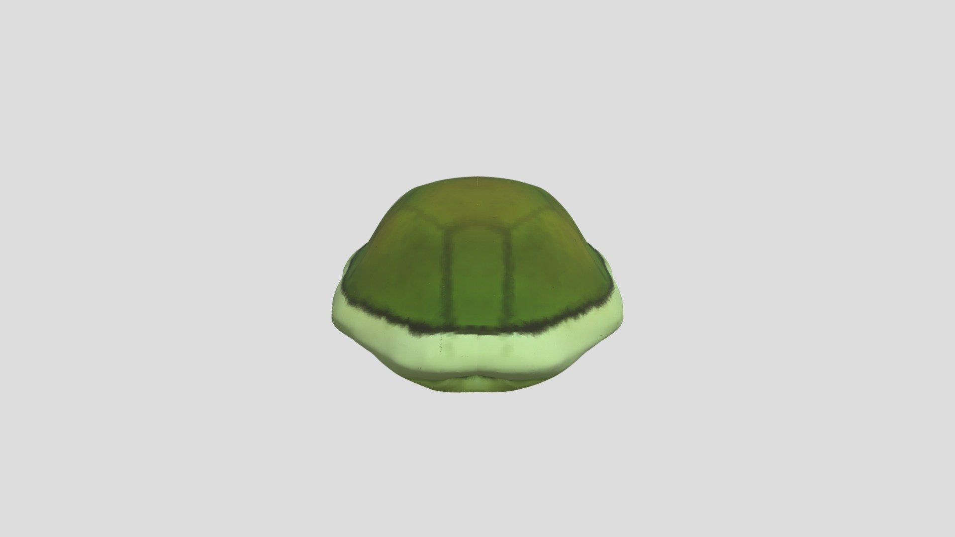 Turtle Shell - Download Free 3D model by Ebediam [df5d39e] - Sketchfab