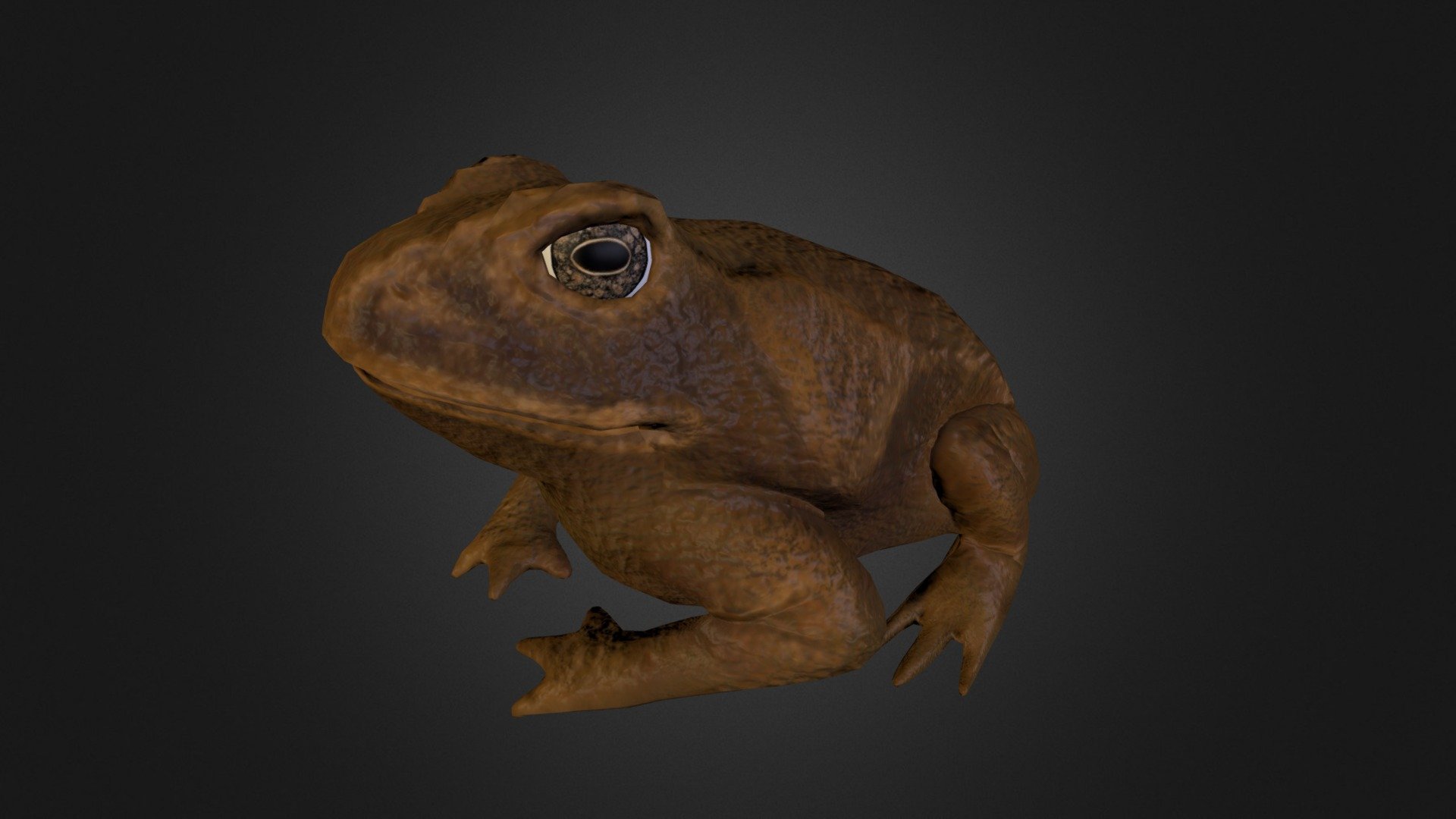 Toad - 3D model by Ignacio Farias (@eternaleye) [df5e545] - Sketchfab
