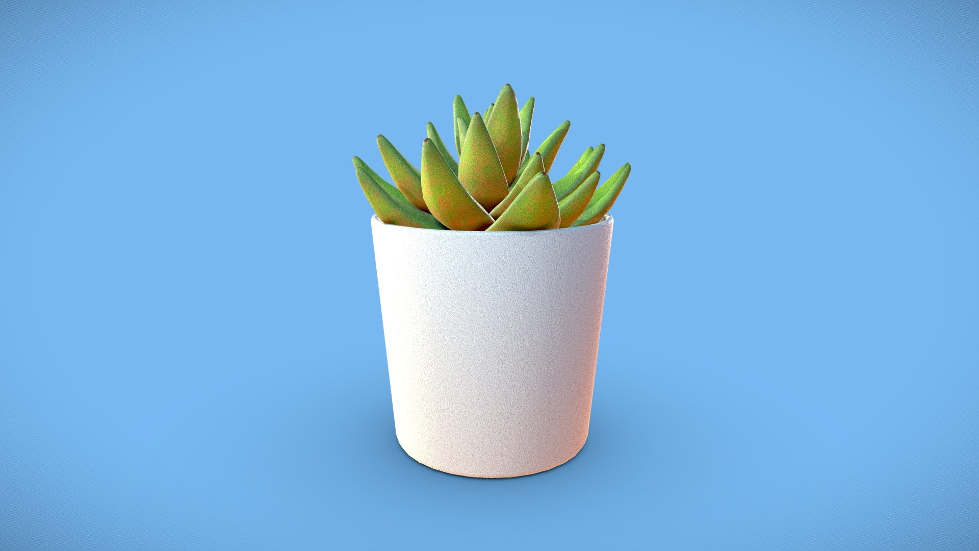 Succulent - Buy Royalty Free 3D model by PBR3D [df617cf] - Sketchfab Store
