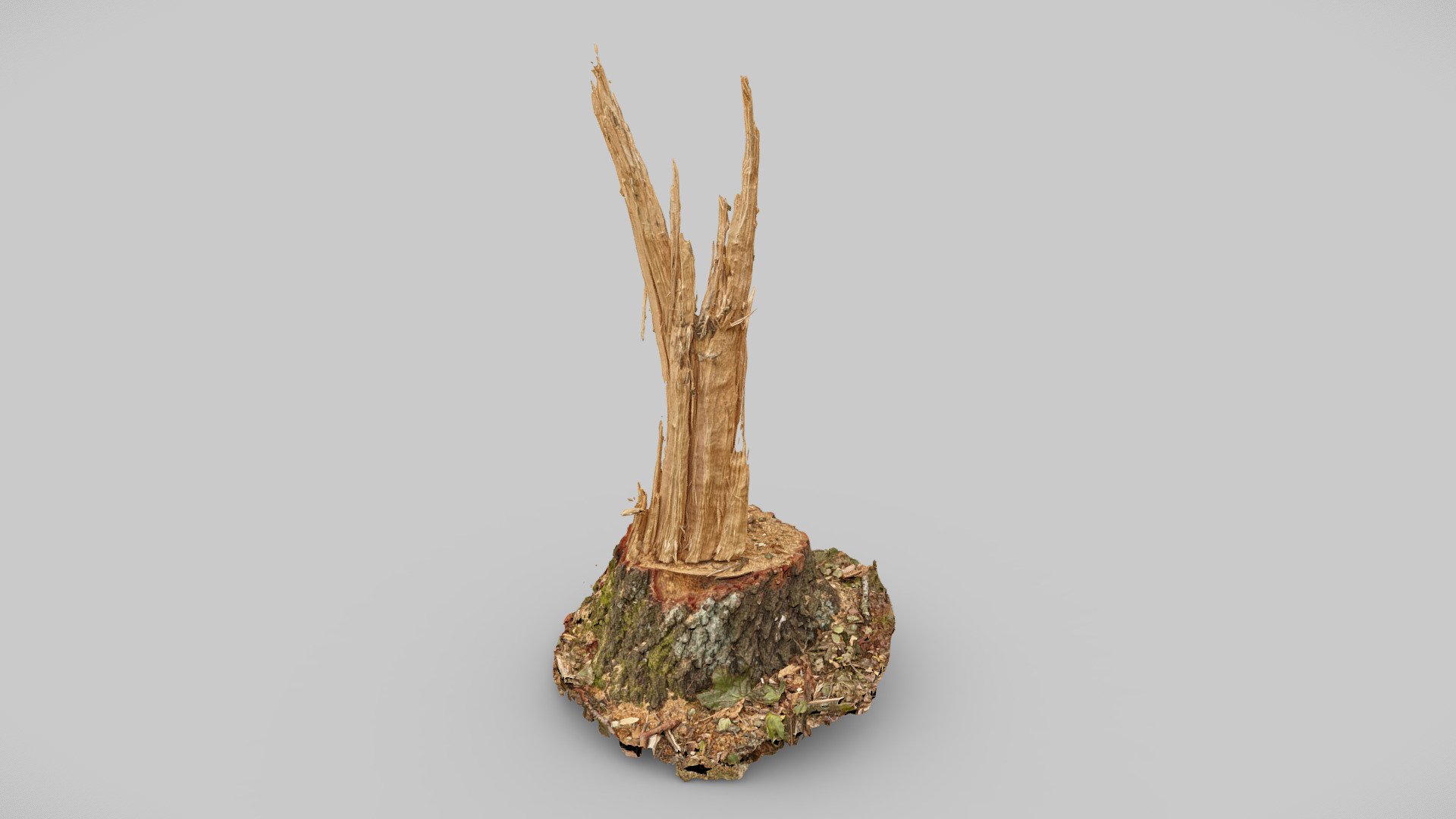 Broken Tree Stump C - Download Free 3D model by robertusPL [df61e7e ...