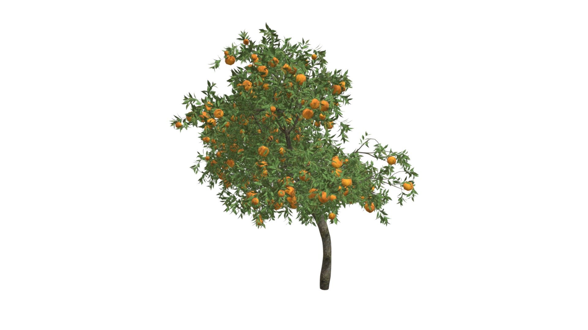 Orange Tree #05 - Buy Royalty Free 3D model by meshshape [df7396e ...