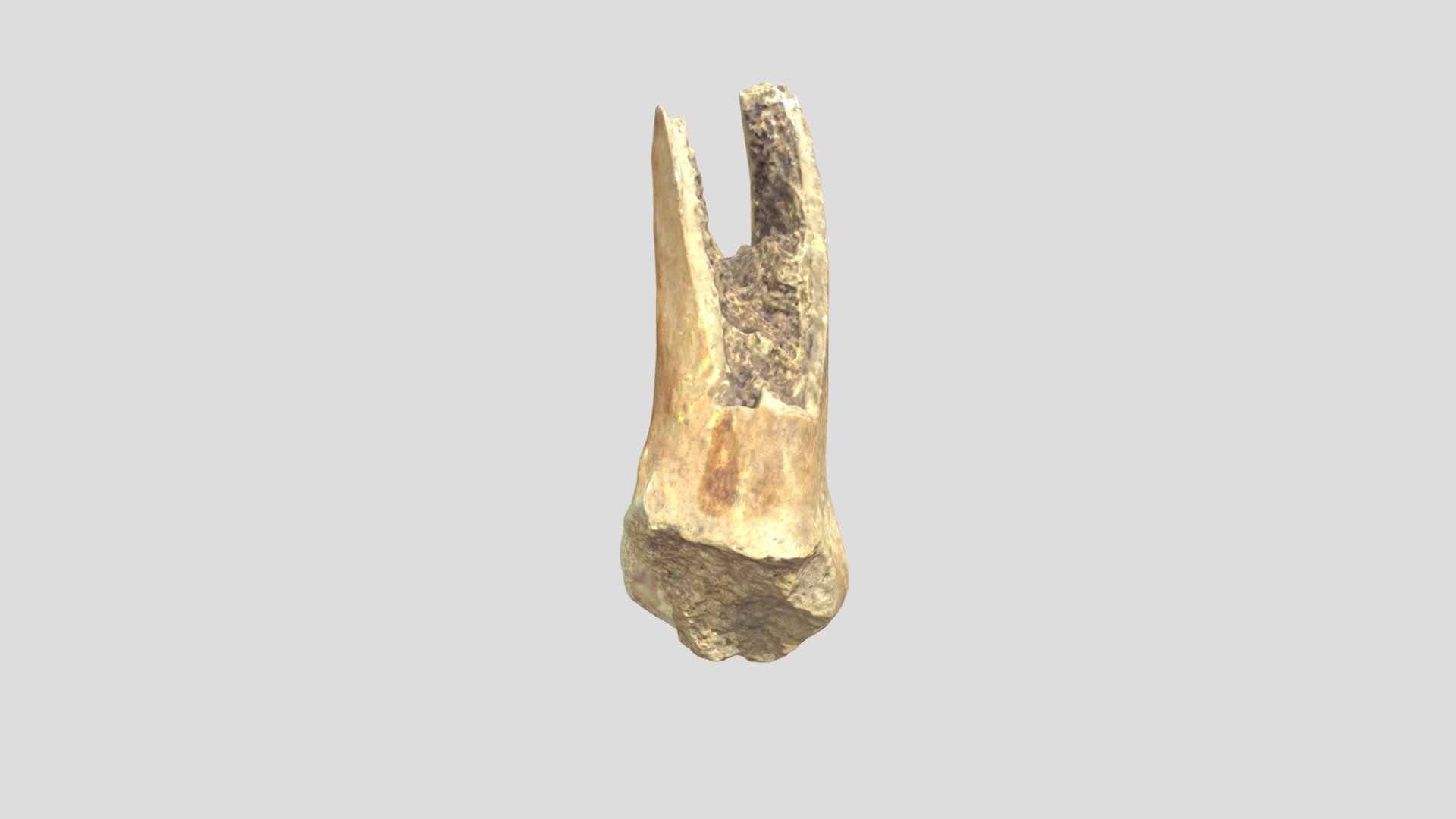 Week 4 Fragment 1 - 3D model by kubehlk [df7412b] - Sketchfab