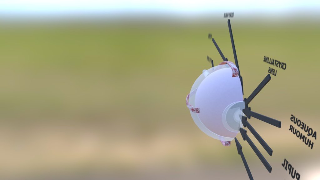 Figure 11.1 - 3D model by Virtual Reality (@simulanis) [df7ccfb ...