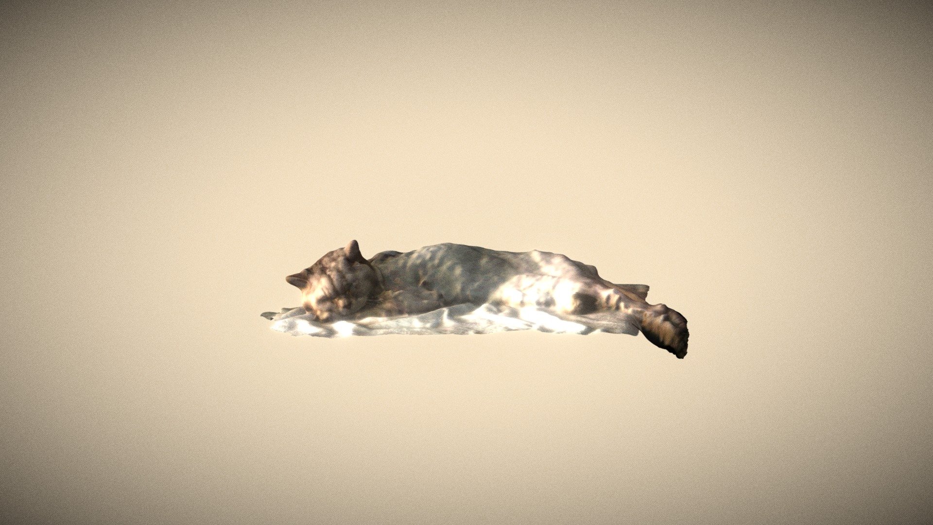 memorial scan of my cat - Download Free 3D model by hairmaster ...