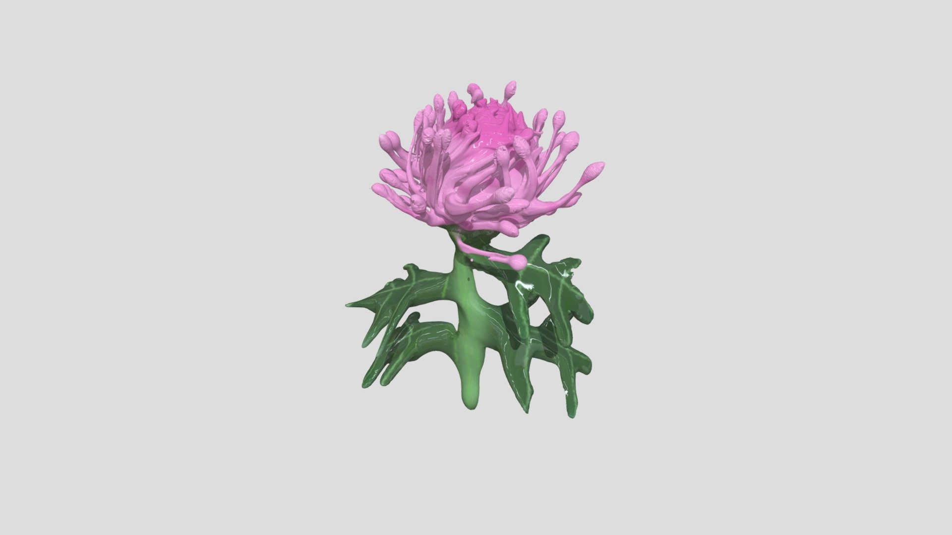 kiku - 3D model by sonosaki.collection [df7f2f7] - Sketchfab