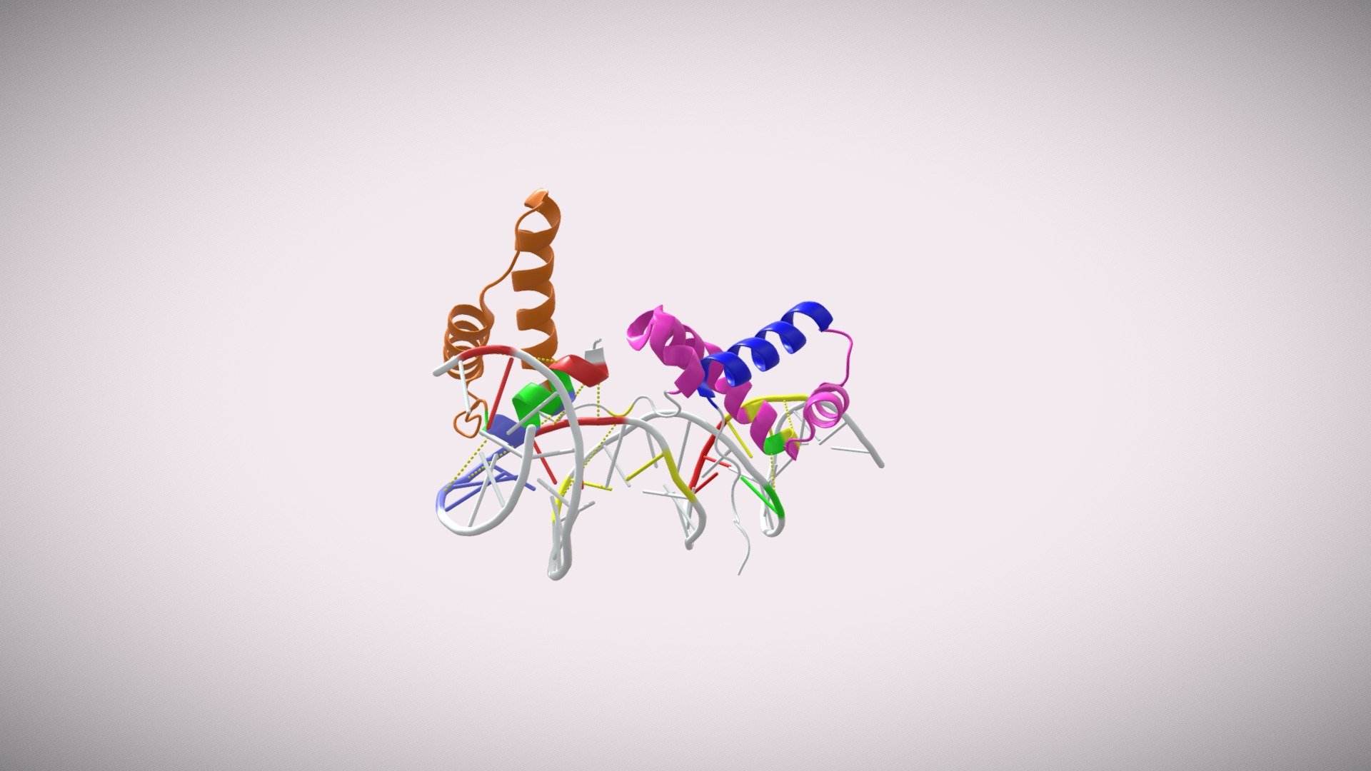 Human Centromere Protein B:DNA - 3D model by mcho3693 [df850b6] - Sketchfab
