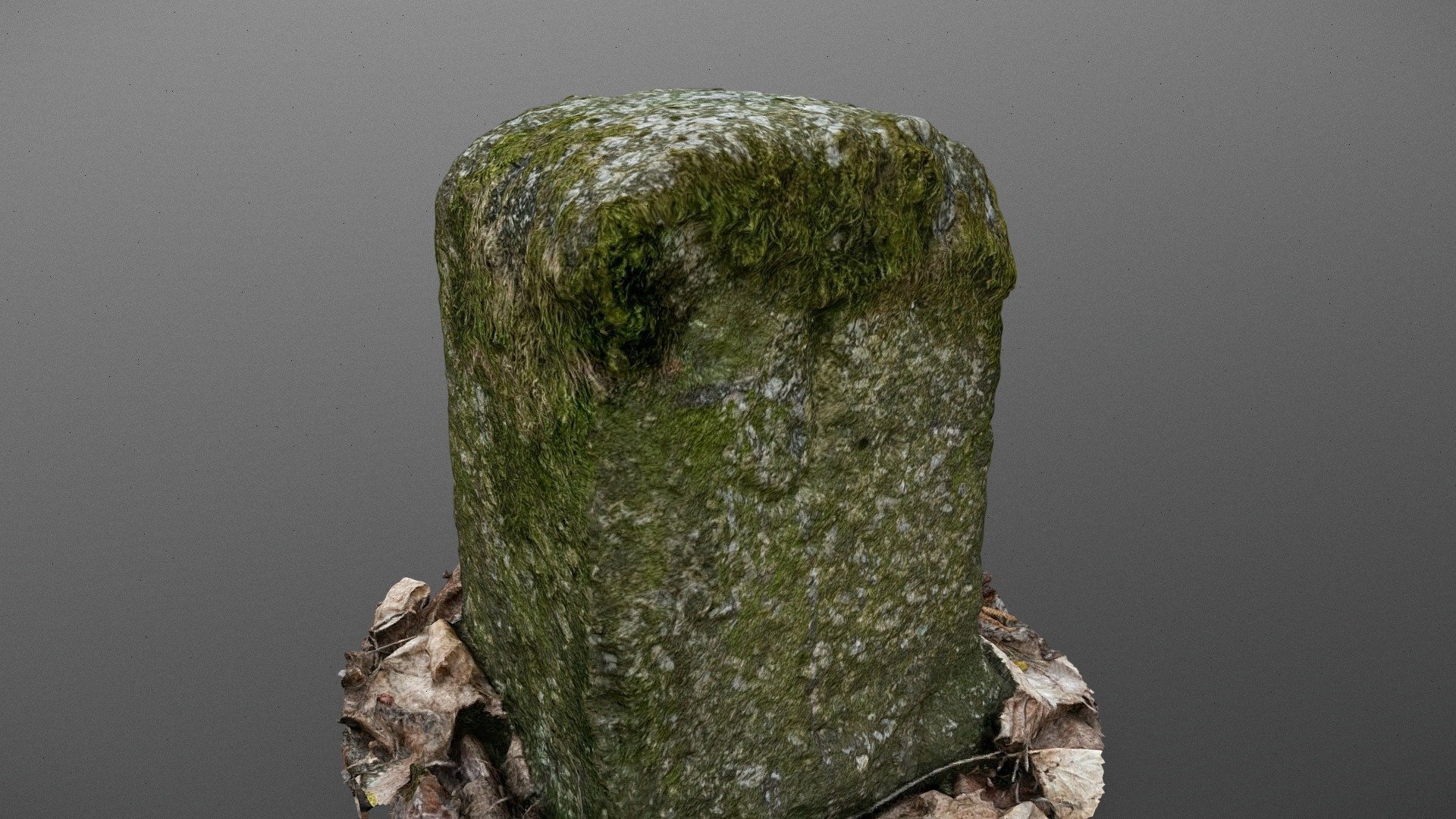 Forest border stone - 3D model by 333DDD (@333DDD-oficial) [df87e67 ...