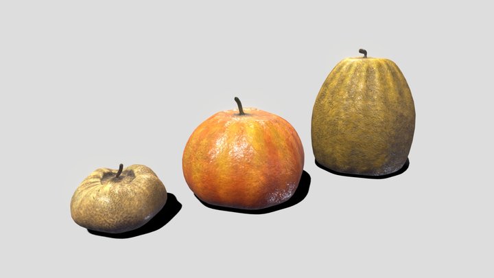 Goard 3D models - Sketchfab